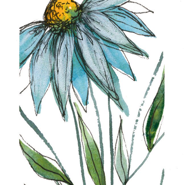 Creativeworld 2024 - Discover Hahnemühle's paper innovations - booth ...